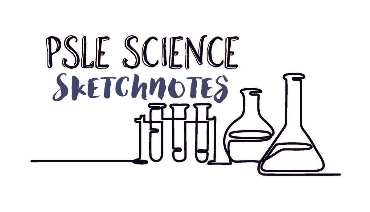 PSLE Science Sketchnotes