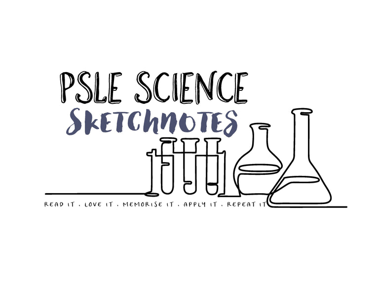 PSLE Science Sketchnotes